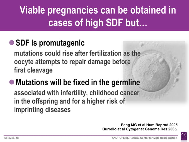 Sperm DNA Fragmentation from the Male Infertility Specialist's ...