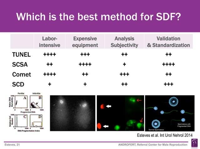 Sperm DNA Fragmentation from the Male Infertility Specialist's ...