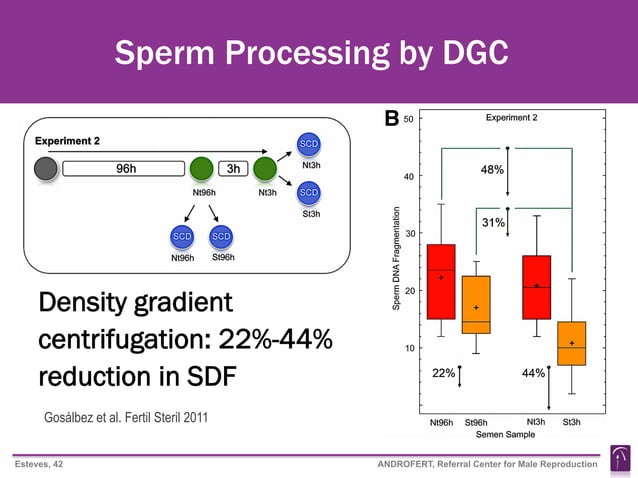 Sperm DNA Fragmentation from the Male Infertility Specialist's ...
