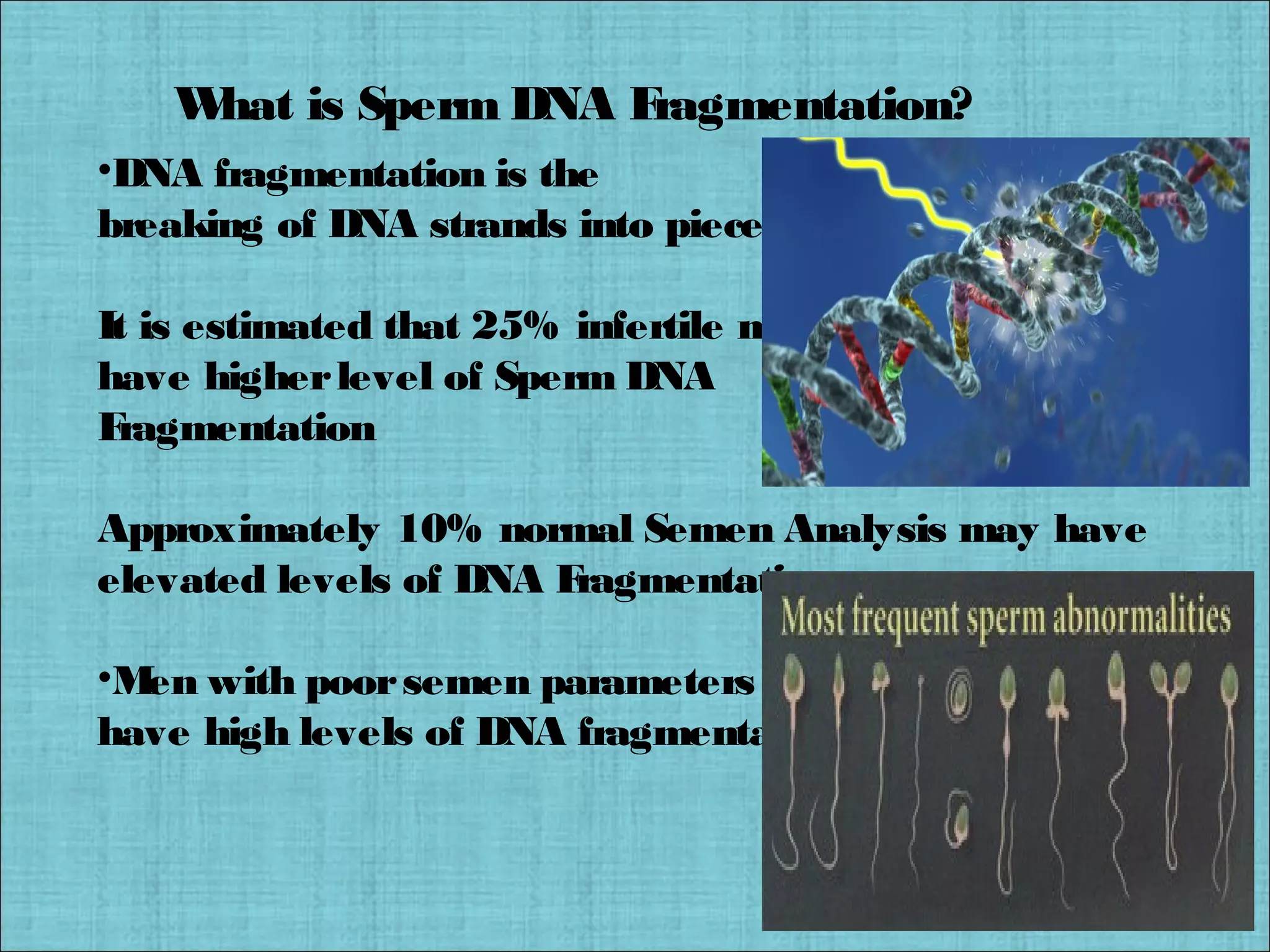 Sperm dna fragmentation | PPT