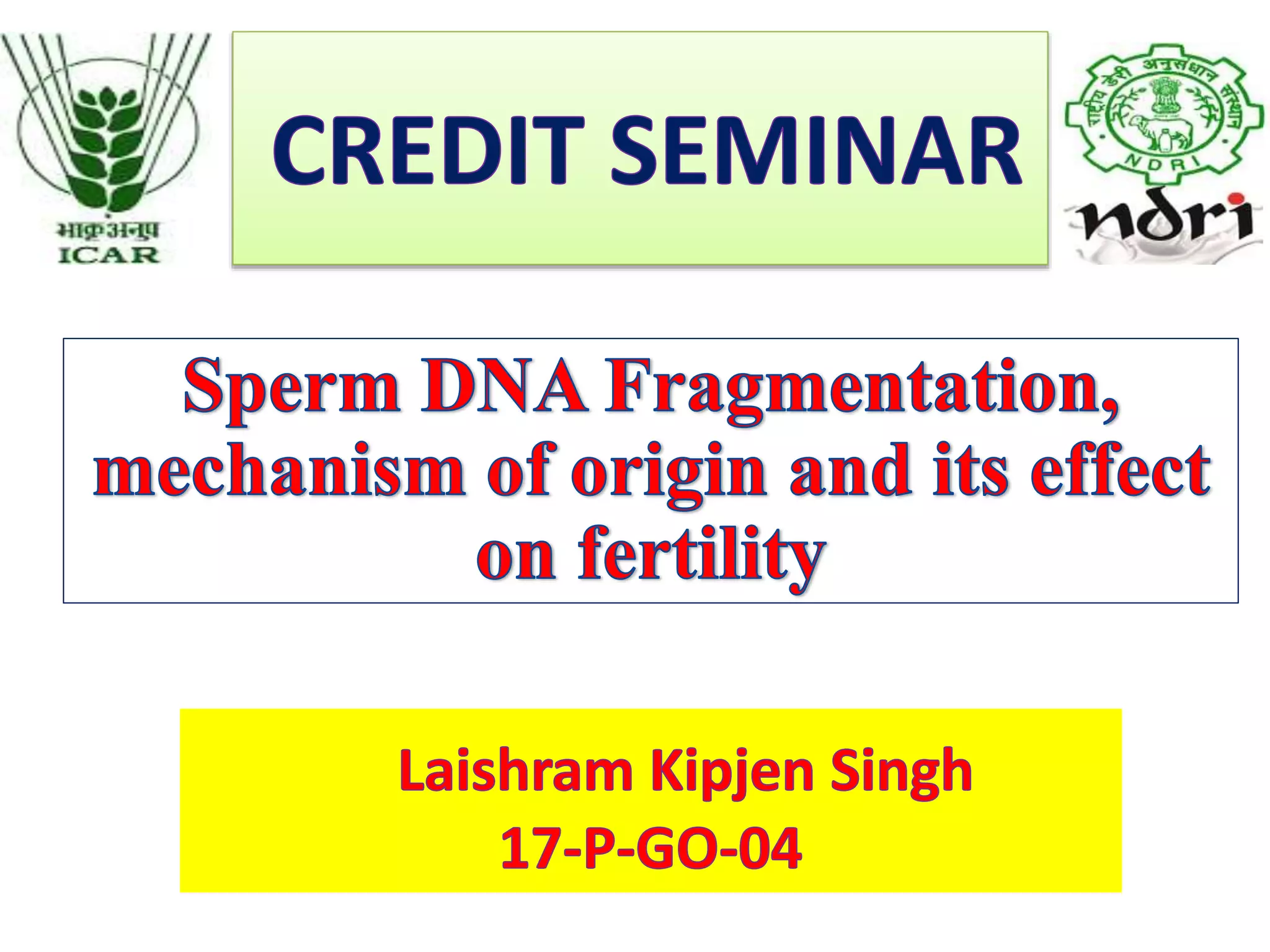 Sperm DNA fragmentation, Mechanism of origin and its effect on fertility | PPTX | Infertility ...