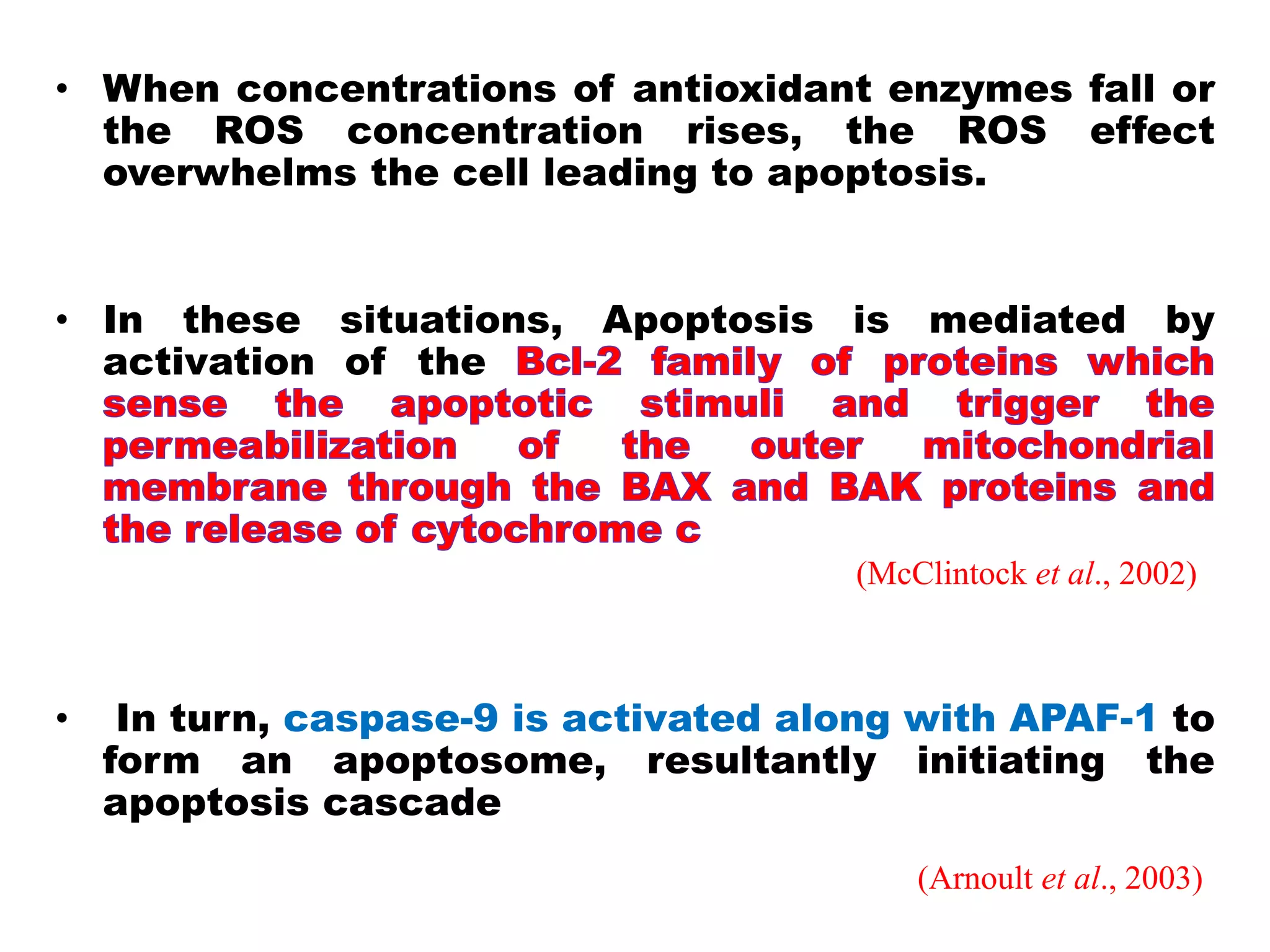 Sperm DNA fragmentation, Mechanism of origin and its effect on ...