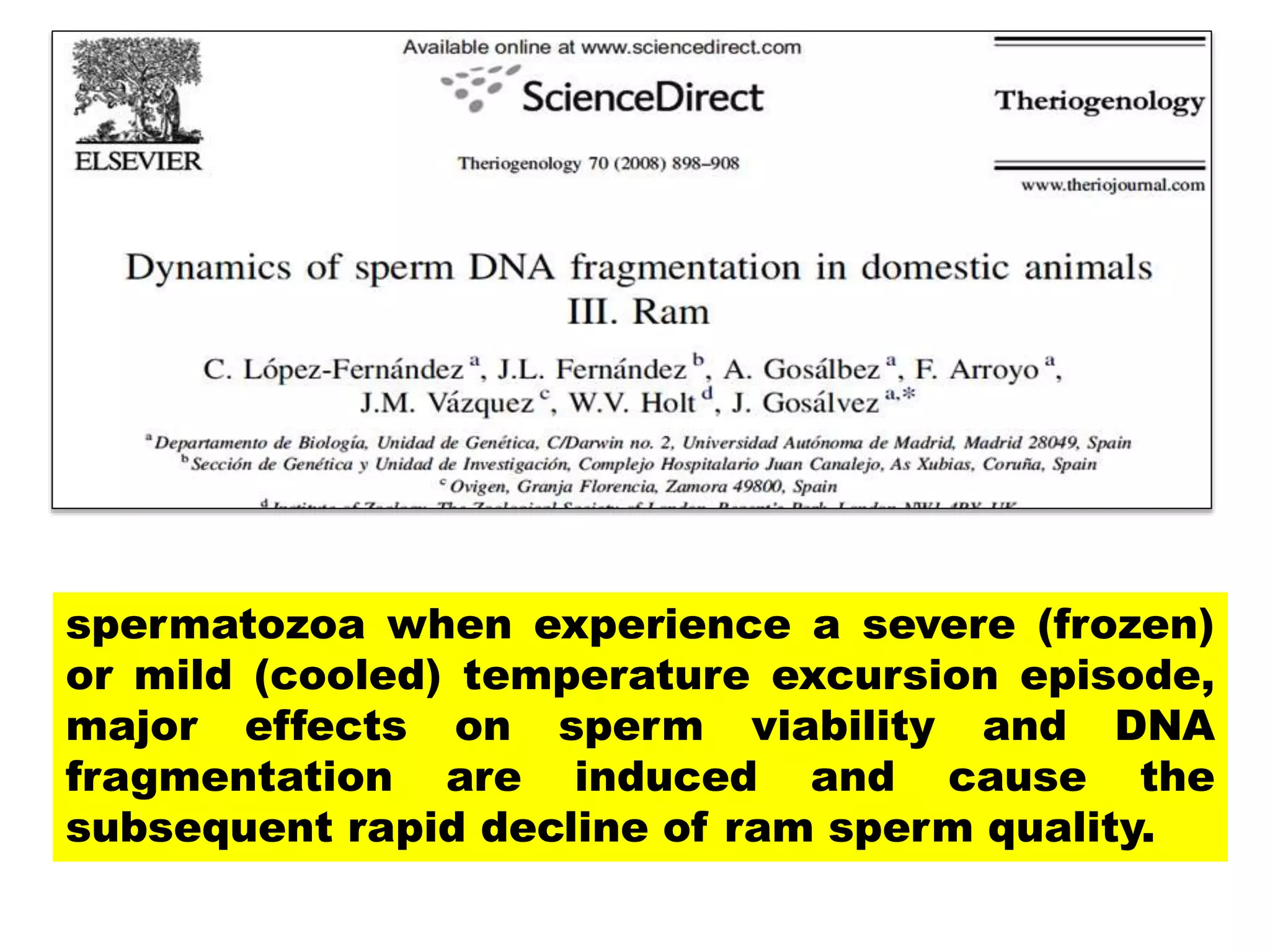 Sperm DNA fragmentation, Mechanism of origin and its effect on fertility | PPTX | Infertility ...