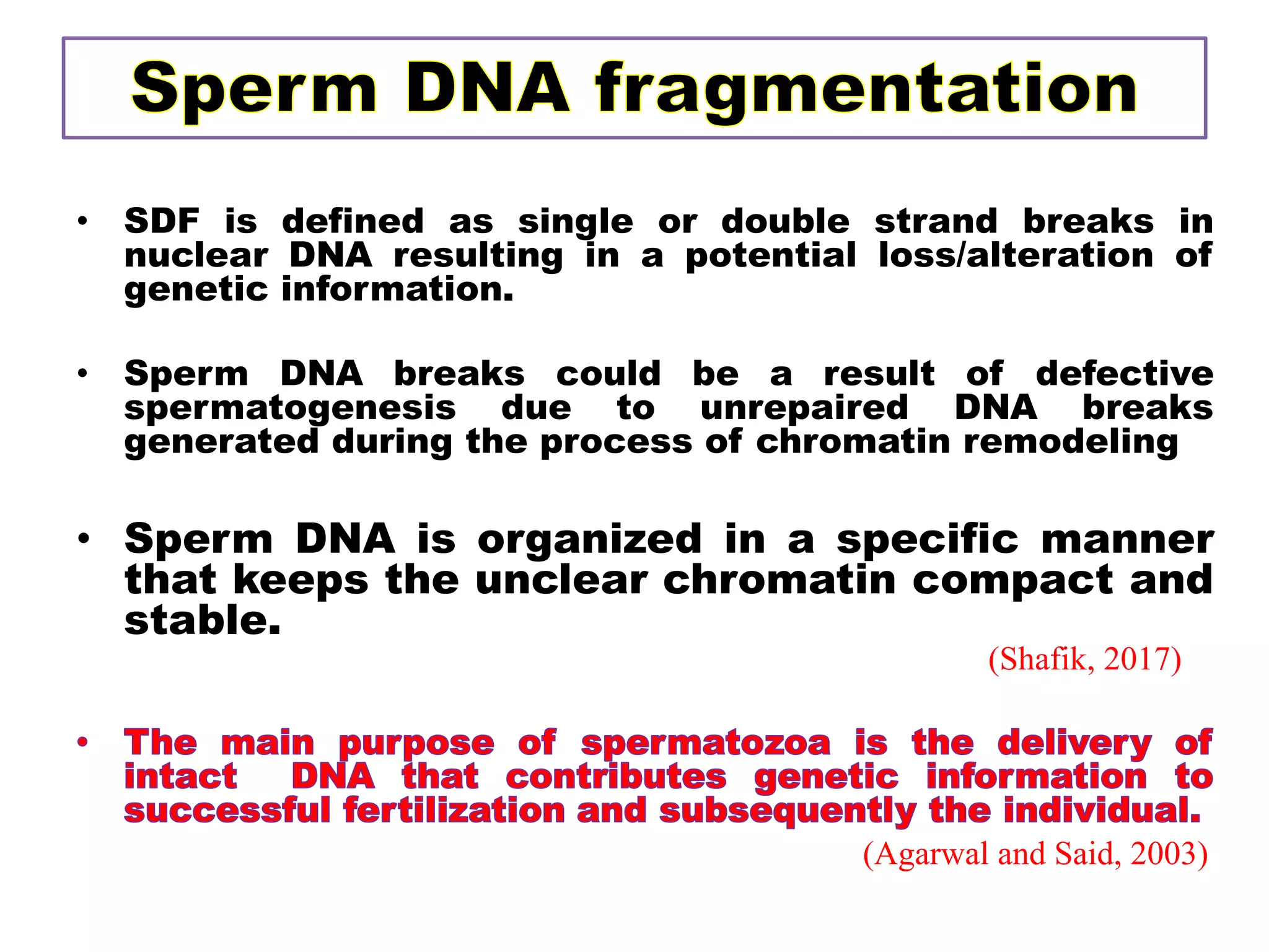 Sperm DNA fragmentation, Mechanism of origin and its effect on fertility | PPTX | Infertility ...