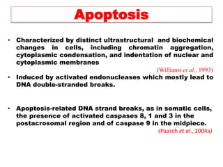 Sperm DNA fragmentation, Mechanism of origin and its effect on ...