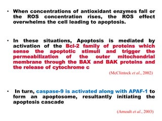 Sperm DNA fragmentation, Mechanism of origin and its effect on ...