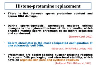 Sperm DNA fragmentation, Mechanism of origin and its effect on ...