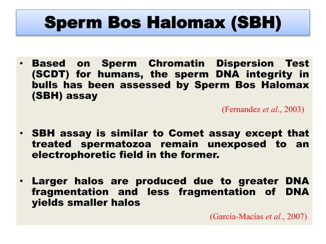 Sperm DNA fragmentation, Mechanism of origin and its effect on fertility | PPTX | Infertility ...