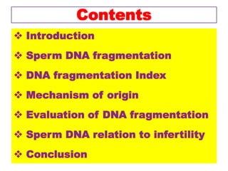 Sperm DNA fragmentation, Mechanism of origin and its effect on fertility | PPTX | Infertility ...