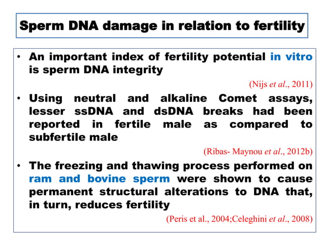 Sperm DNA fragmentation, Mechanism of origin and its effect on fertility | PPTX | Infertility ...
