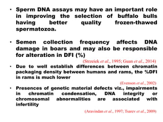 Sperm DNA fragmentation, Mechanism of origin and its effect on fertility | PPTX | Infertility ...