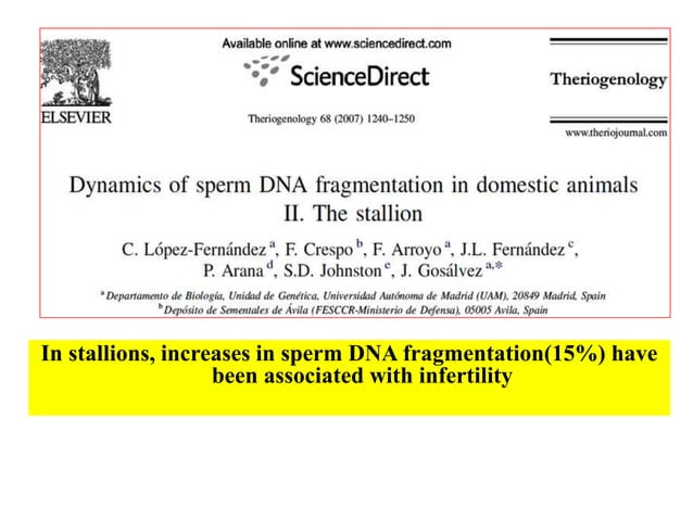Sperm DNA fragmentation, Mechanism of origin and its effect on fertility | PPTX | Infertility ...