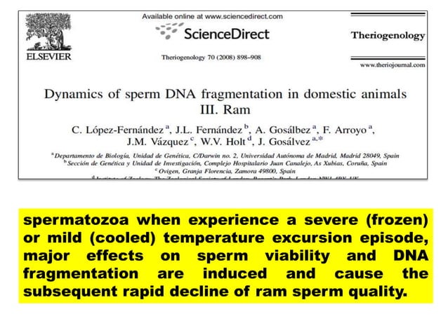 Sperm DNA fragmentation, Mechanism of origin and its effect on ...