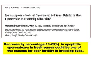 Sperm DNA fragmentation, Mechanism of origin and its effect on fertility | PPTX | Infertility ...
