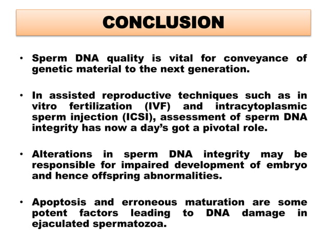 Sperm DNA fragmentation, Mechanism of origin and its effect on ...