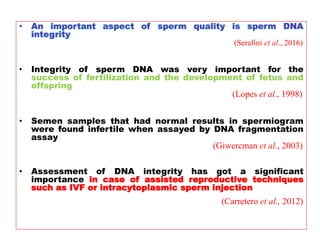 Sperm DNA fragmentation, Mechanism of origin and its effect on ...