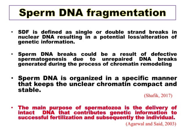 Sperm DNA fragmentation, Mechanism of origin and its effect on ...