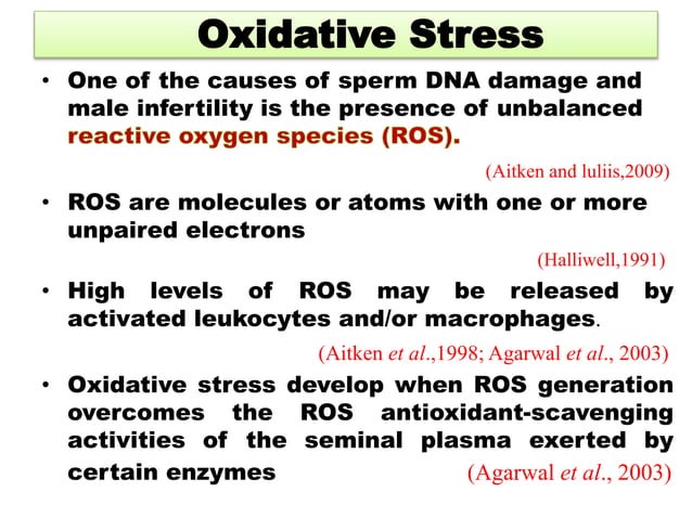 Sperm DNA fragmentation, Mechanism of origin and its effect on fertility | PPTX | Infertility ...