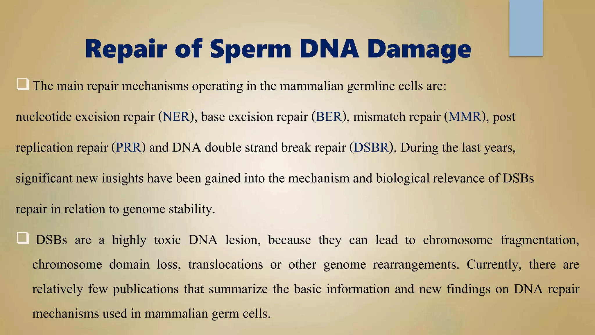 Sperm dna fragmentation | PPTX