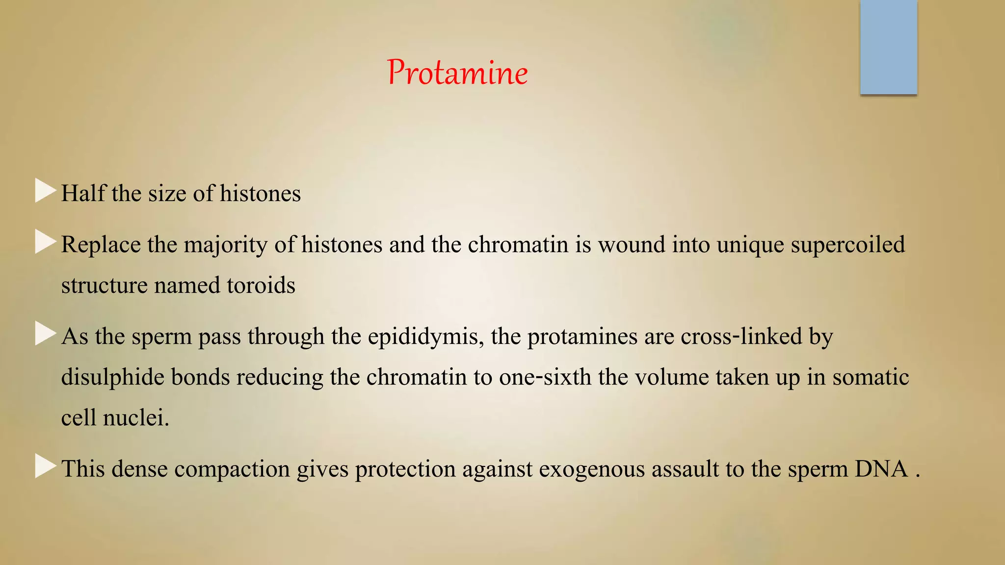 Sperm dna fragmentation | PPTX
