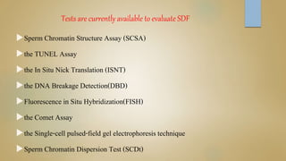 Sperm dna fragmentation | PPTX