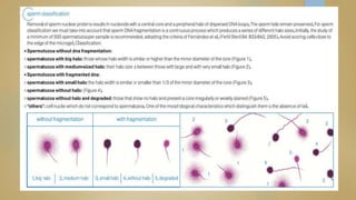 Sperm dna fragmentation | PPTX