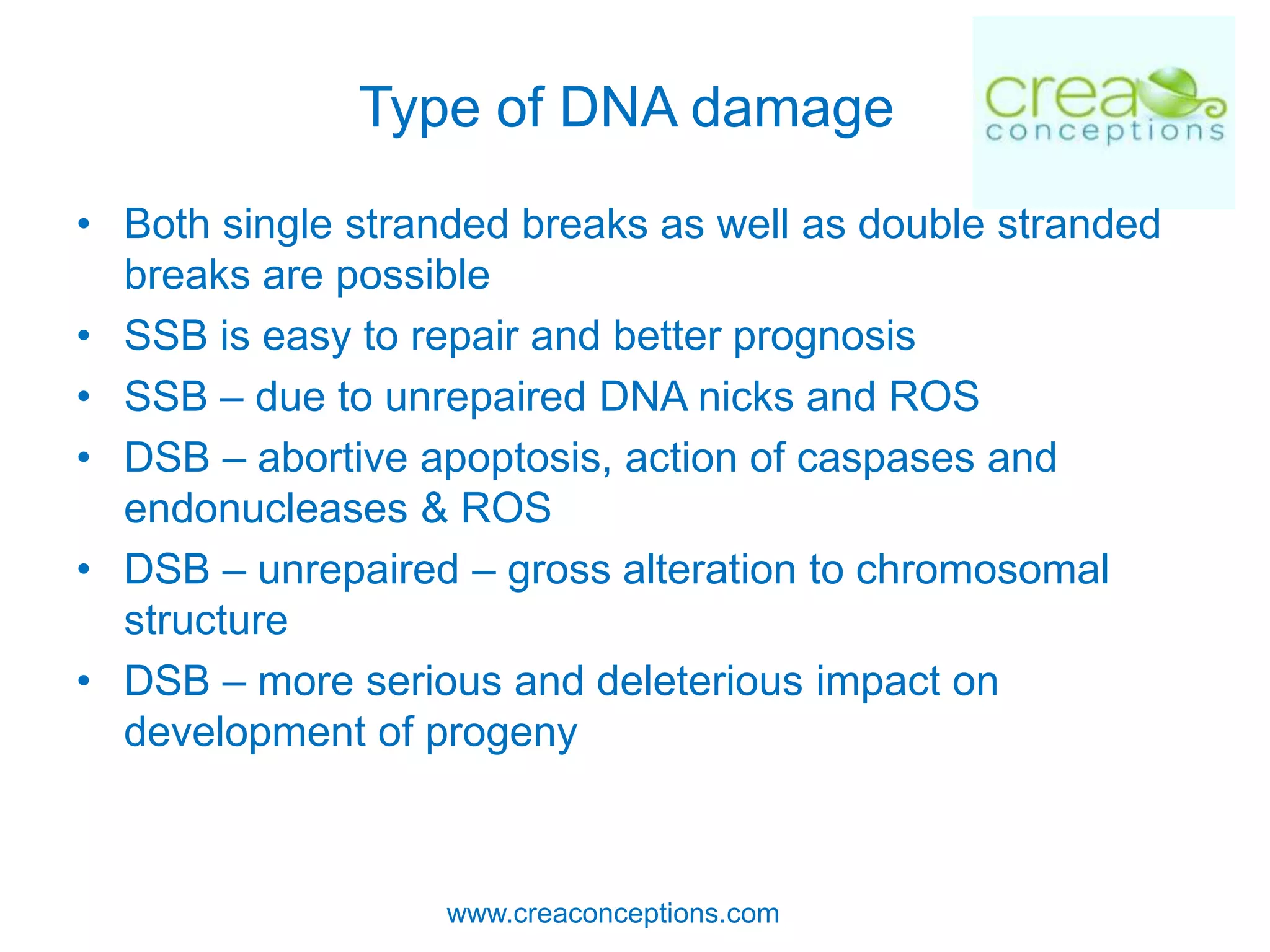 Sperm DNA Fragmentation | PPTX