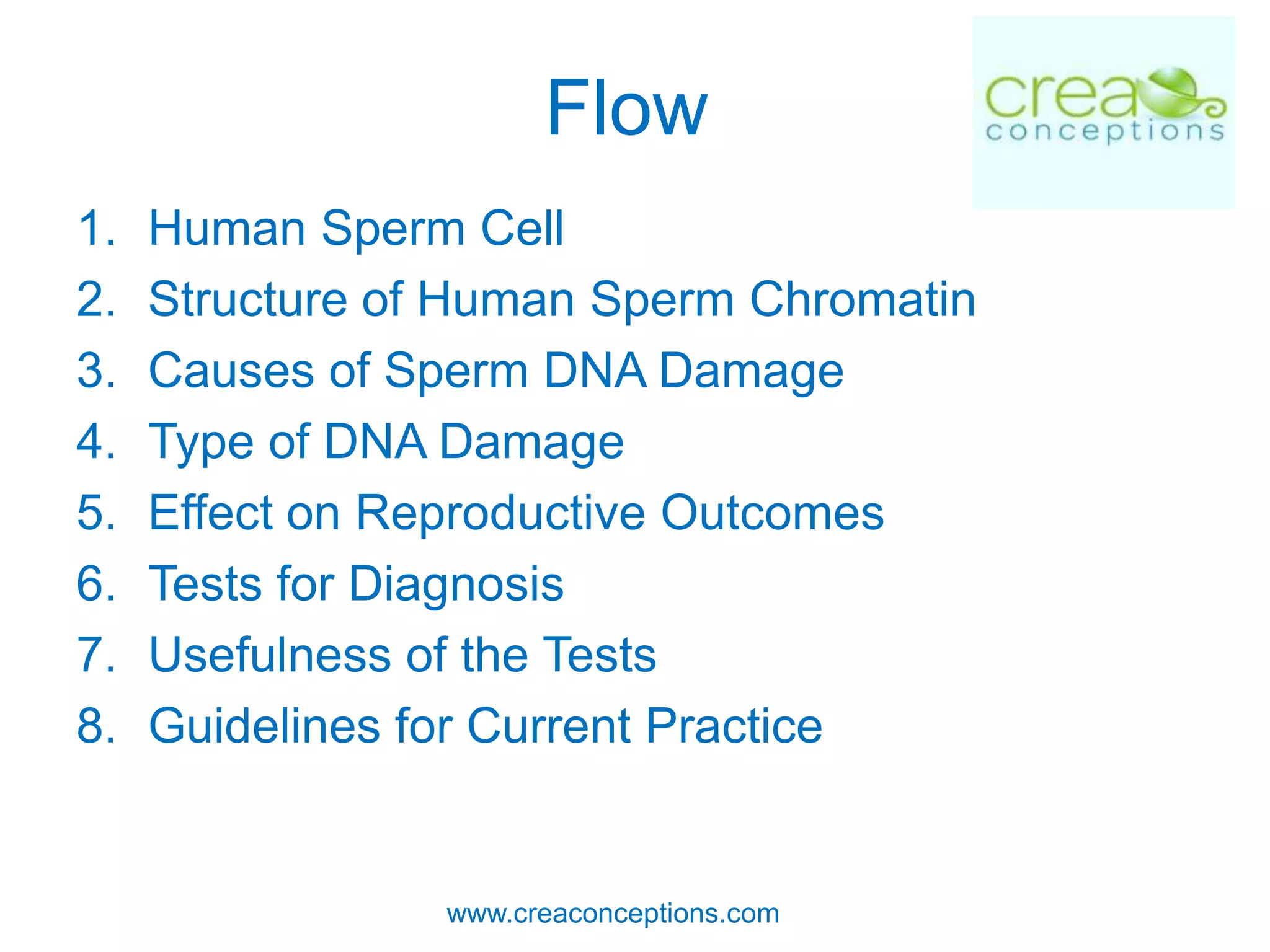 Sperm DNA Fragmentation | PPTX