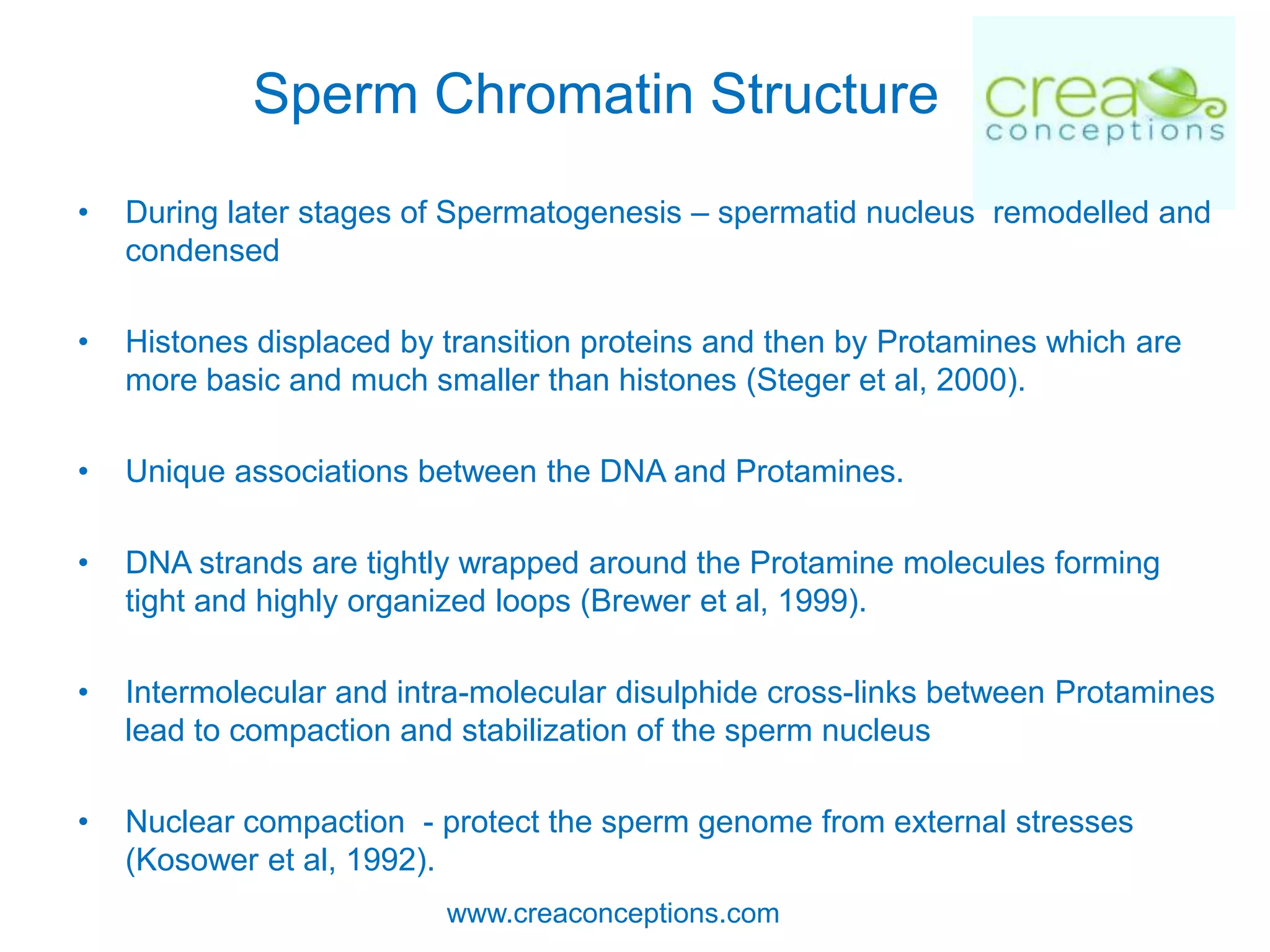 Sperm DNA Fragmentation | PPTX