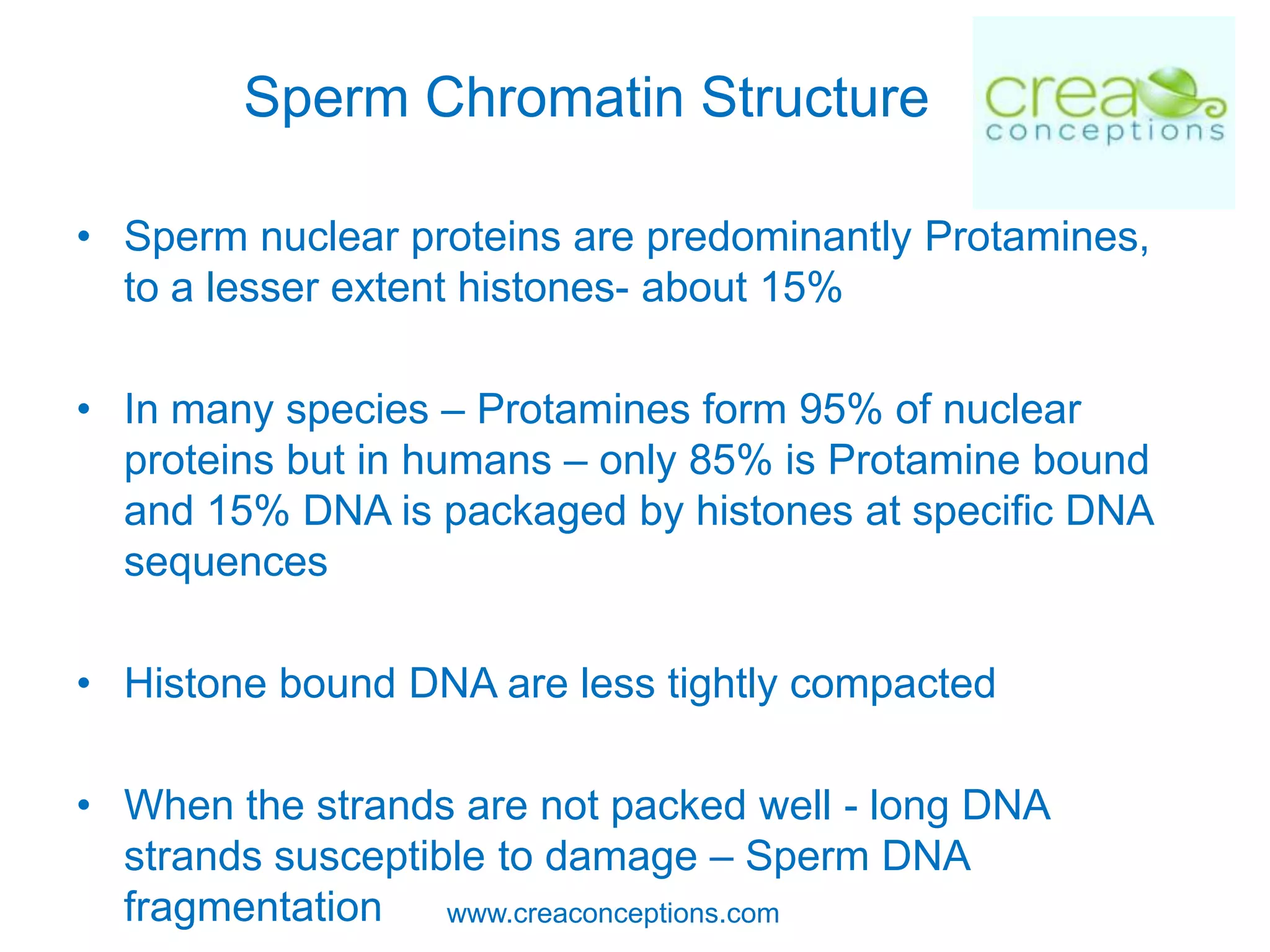 Sperm Dna Fragmentation Pptx