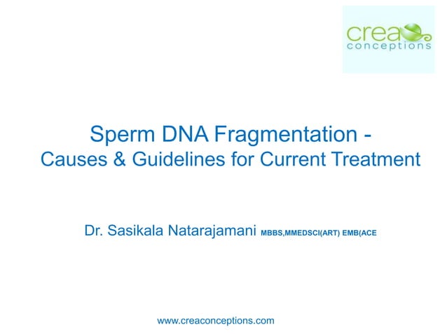 Sperm DNA Fragmentation | PPTX | Infertility | Reproductive Health