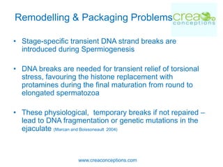 Sperm DNA Fragmentation | PPTX