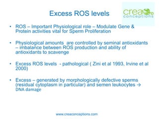 Sperm DNA Fragmentation | PPTX