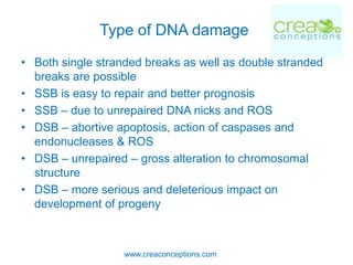 Sperm DNA Fragmentation | PPTX