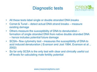 Sperm DNA Fragmentation | PPTX