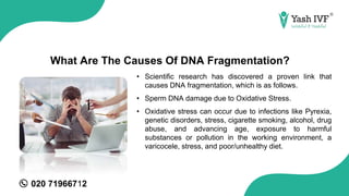 Sperm DNA Testing (1).pptx