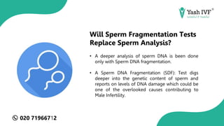 Sperm DNA Testing (1).pptx