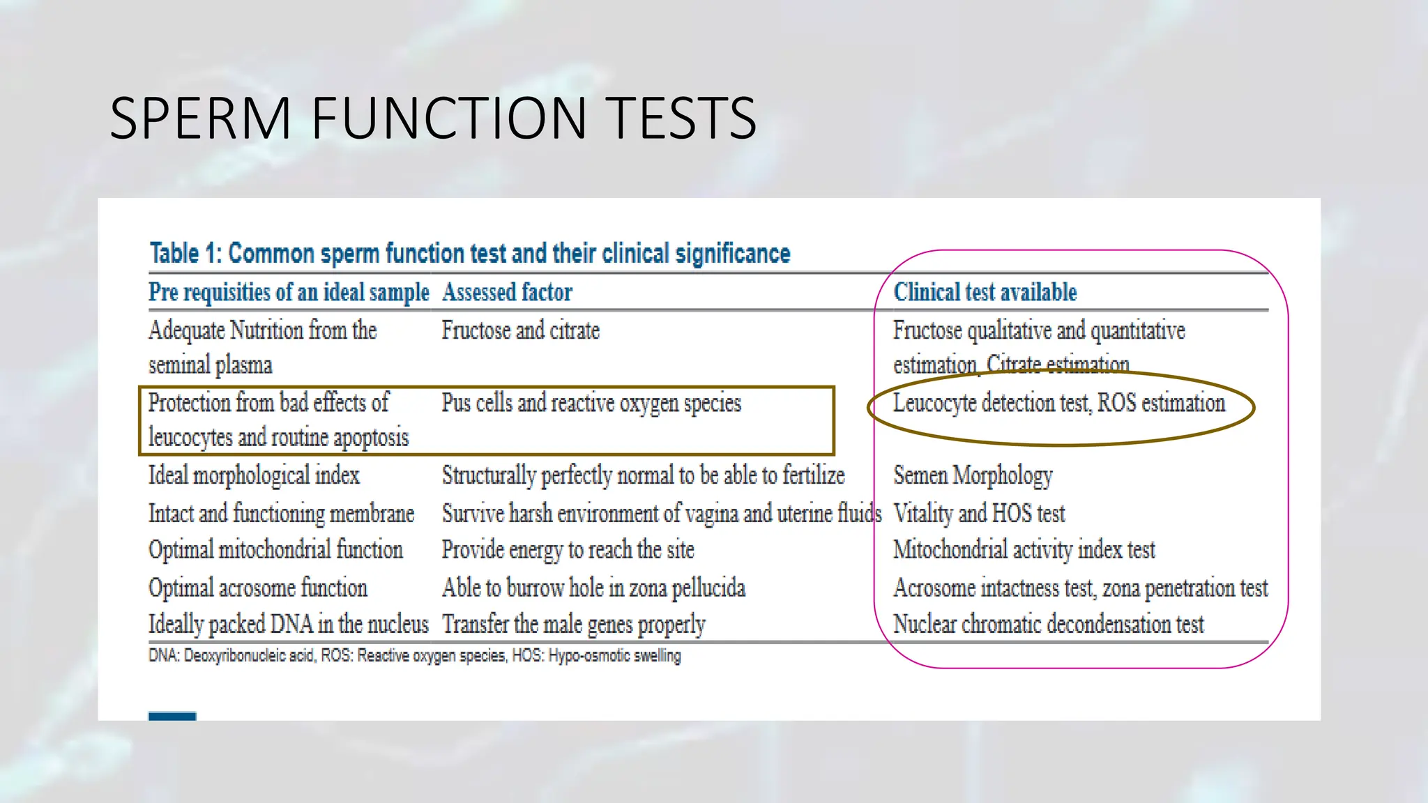 SPERM FUNCTION TEST IN EMBRYOLOGY .pptx