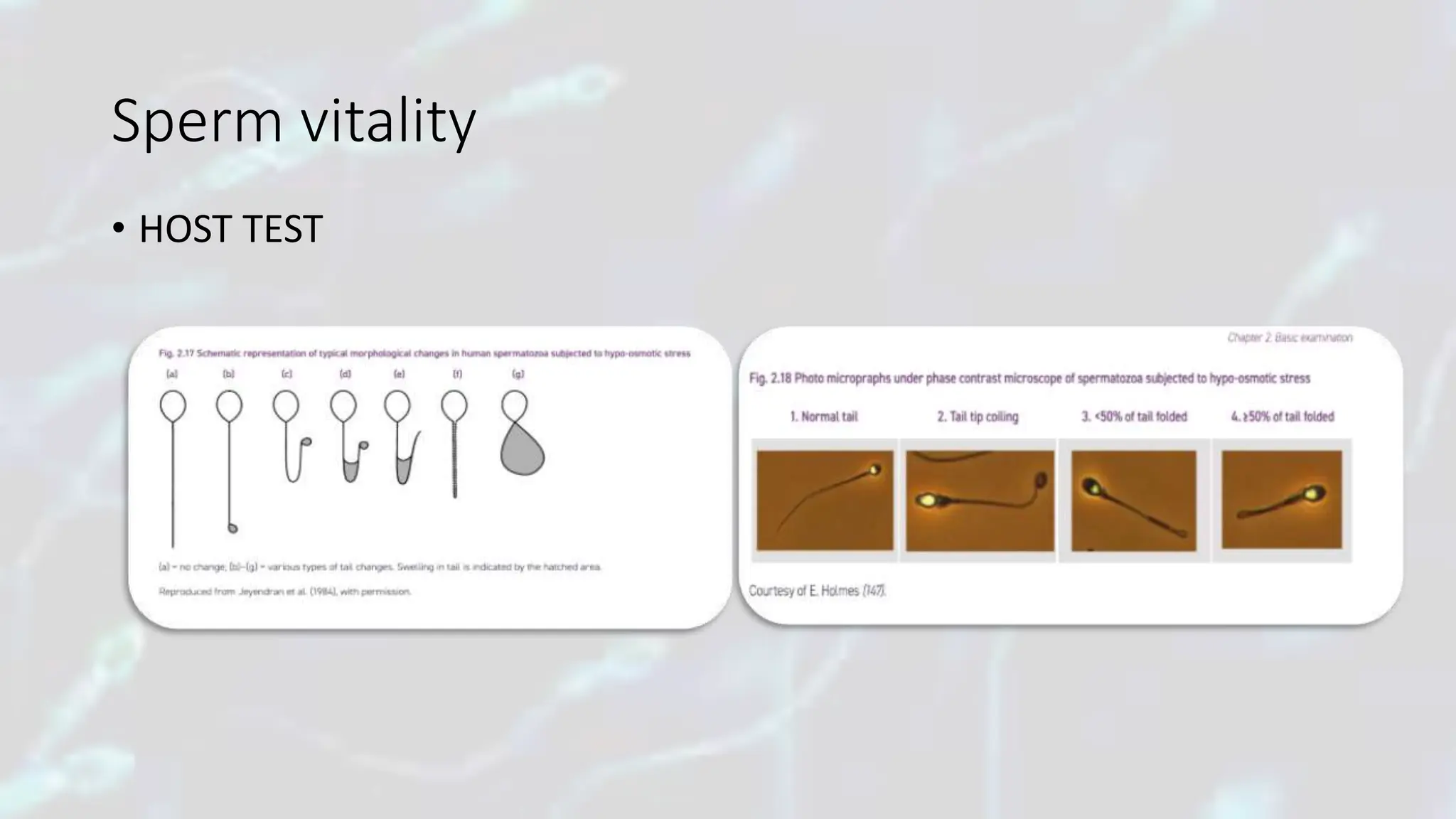 SPERM FUNCTION TEST IN EMBRYOLOGY .pptx