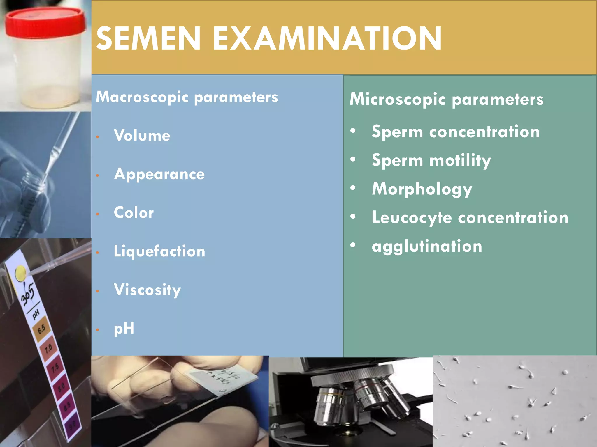 SPERM FUNCTION TESTS | PDF
