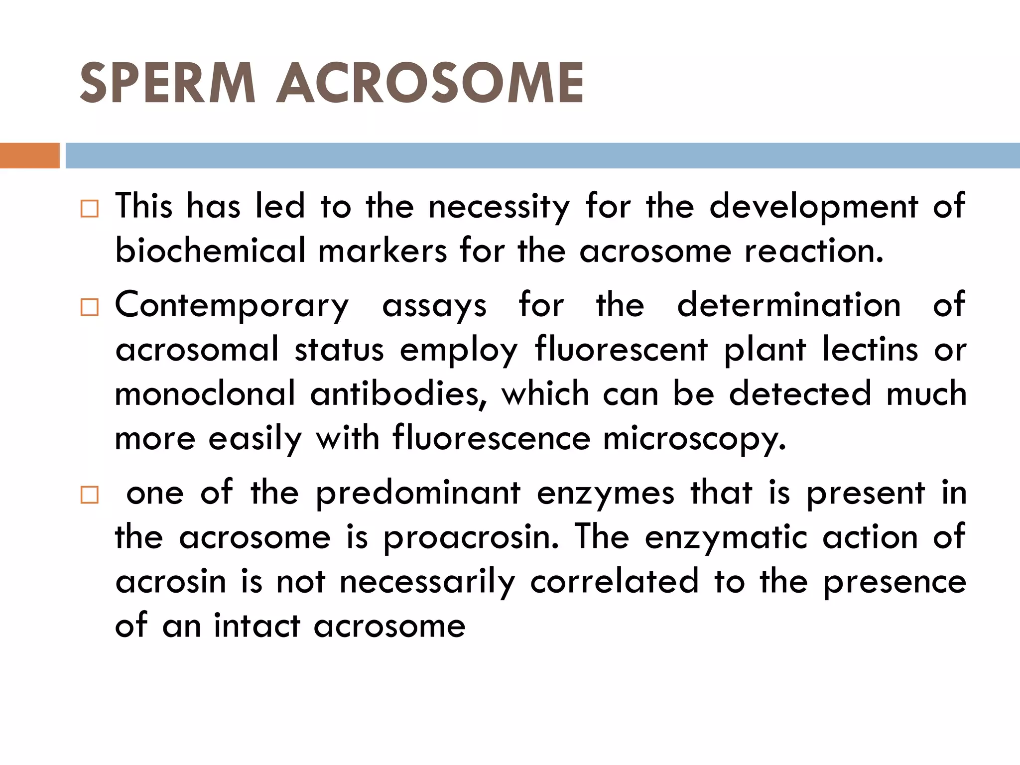 SPERM FUNCTION TESTS | PDF