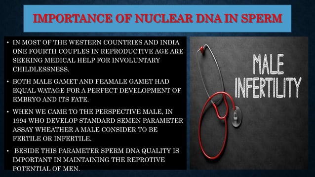 Sperm nuclear integrity assessment [autosaved] | PPT