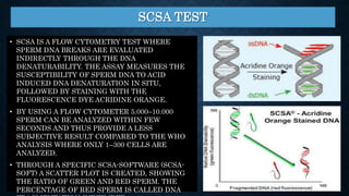 Sperm nuclear integrity assessment [autosaved] | PPT