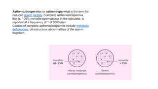 spermogram, Pre-testicular factors refer to conditions that impede .pptx