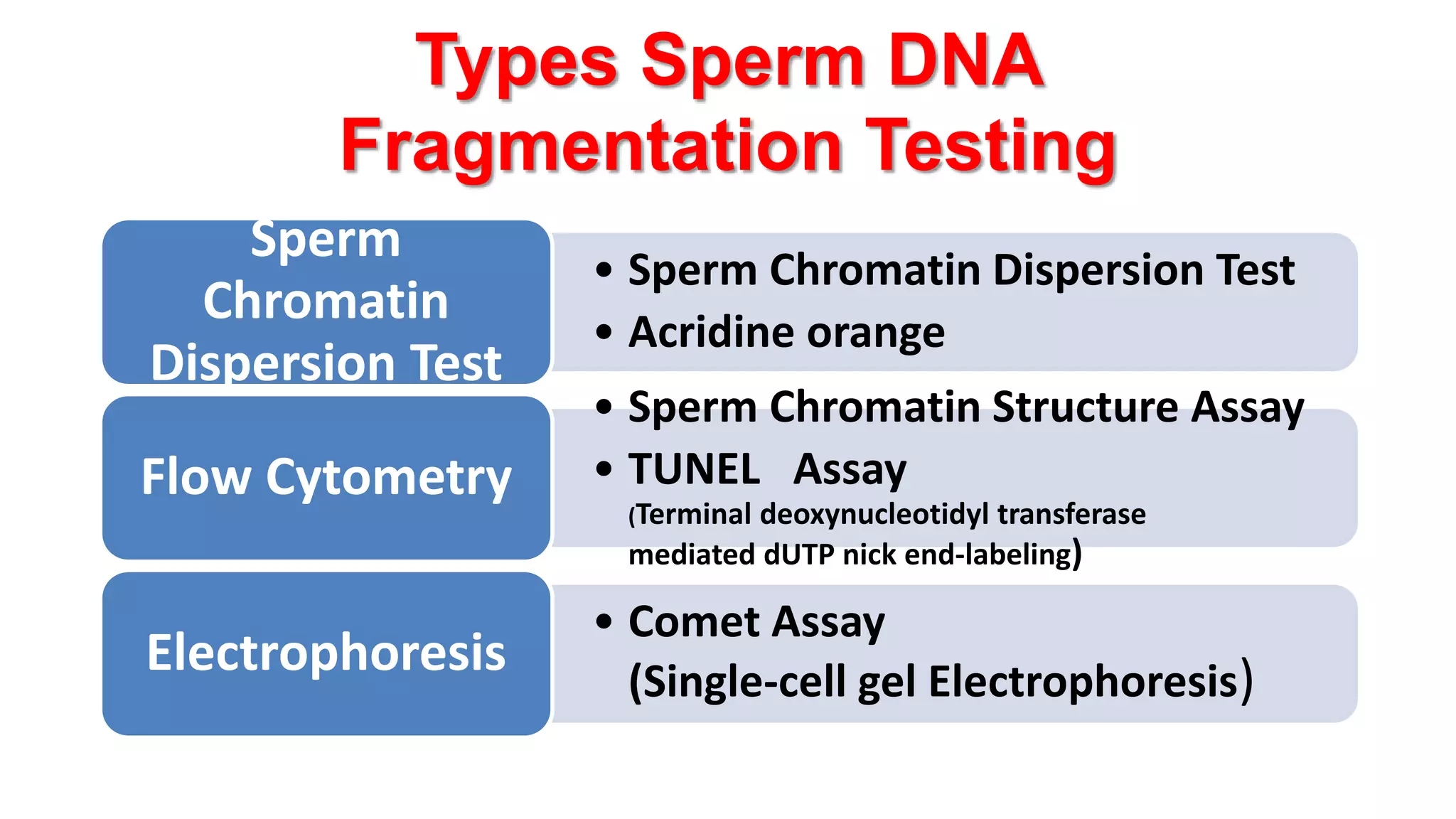Sperm Preparation in High DFI.pptx