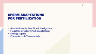 Sperm Structure and its adaptation .pptx