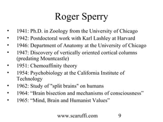 Roger Sperry and the Age of the Brain | PPT