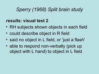 Sperry (1968) split brain study | PPT