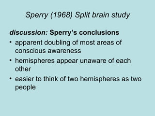 Sperry (1968) split brain study | PPT
