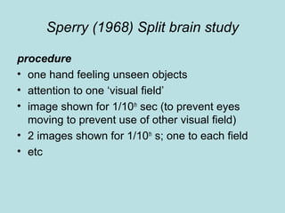 Sperry (1968) split brain study | PPT